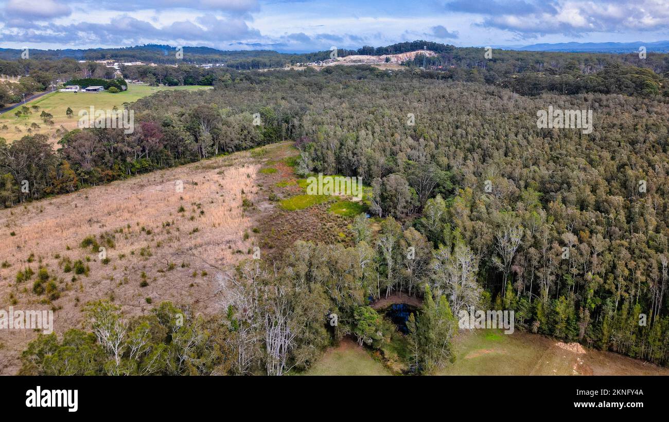 A drone shot of a dense forest next to a valley under a blue sky Stock ...