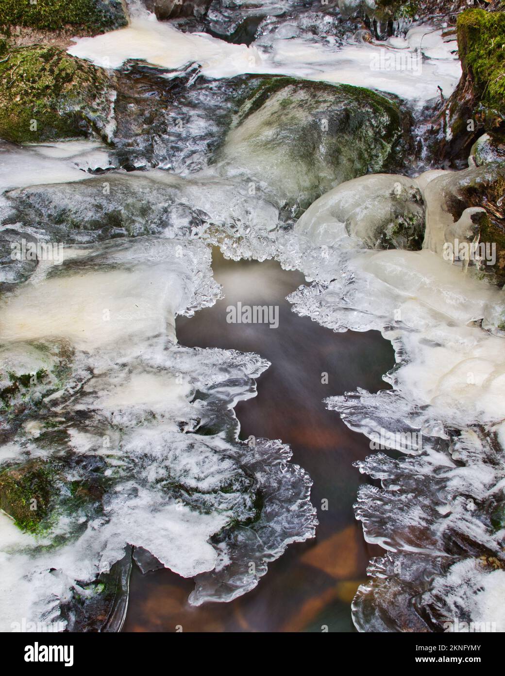 A vertical shot of a frozen river in the woods Stock Photo - Alamy