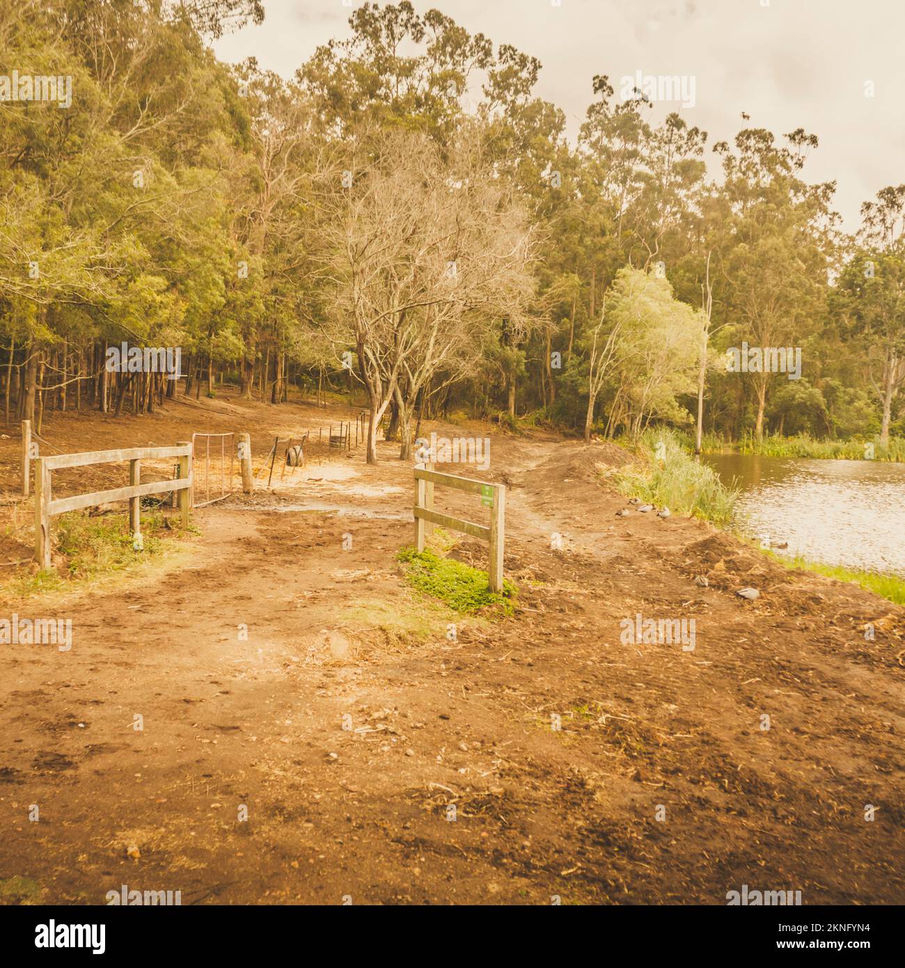 Rustic outback country scene on a farm track with shabby countrified ...