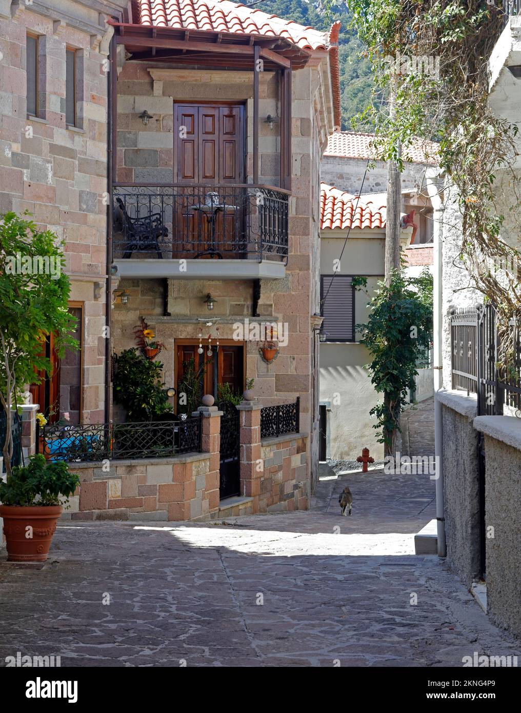 Street scene with cat in distance, Lafonias Hill village, Lesbos. Sept ...