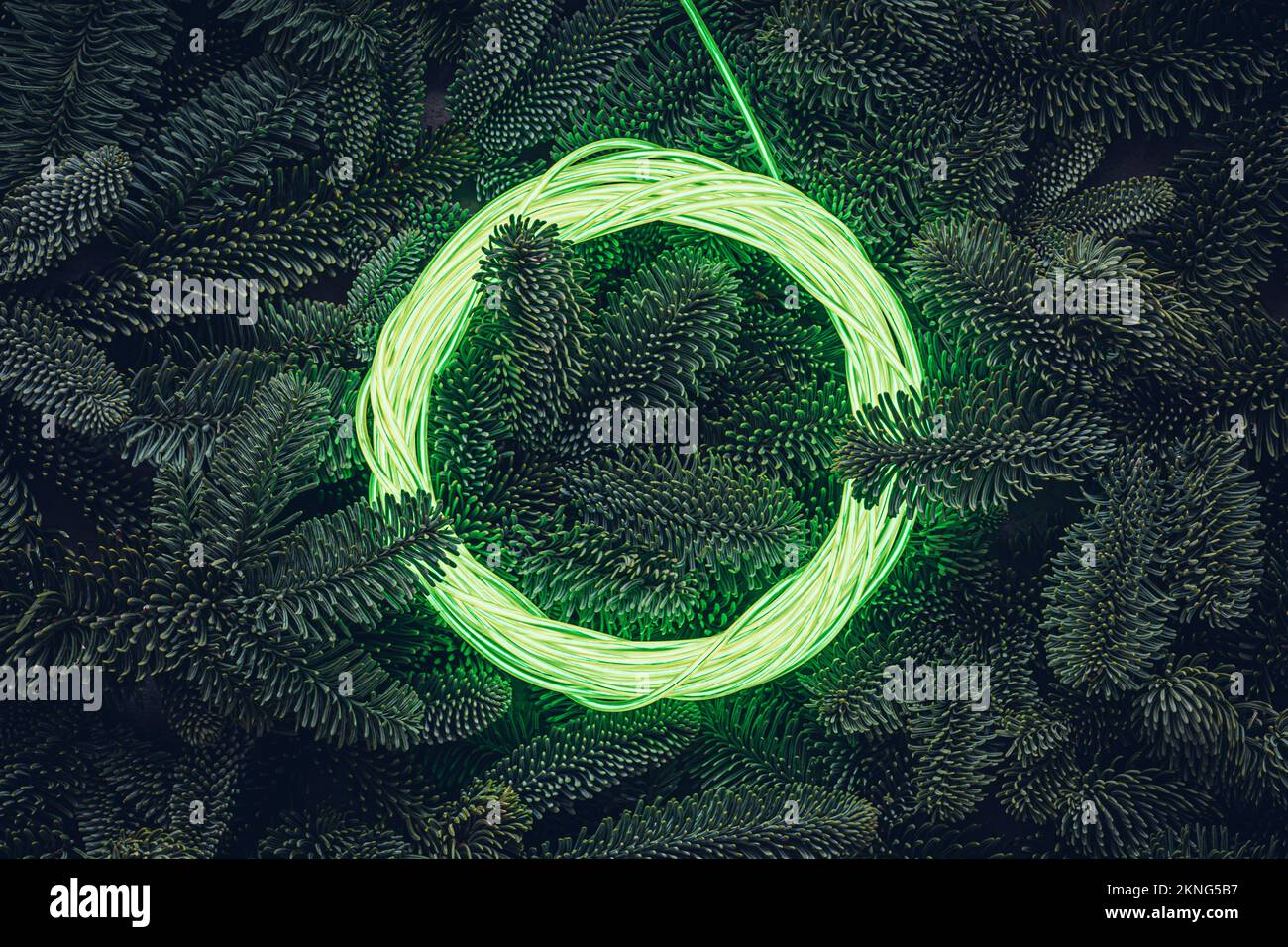 Neon string light wreath frame on Christmas tree branches texture ...