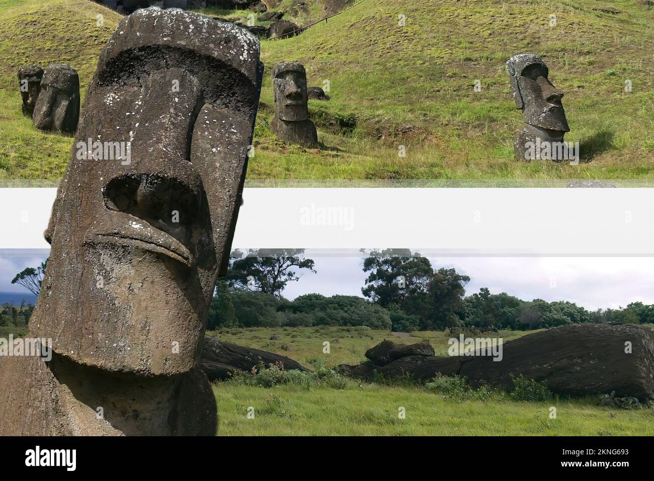 Moai statues in the Rano Raraku Volcano in Easter Island, Rapa Nui ...