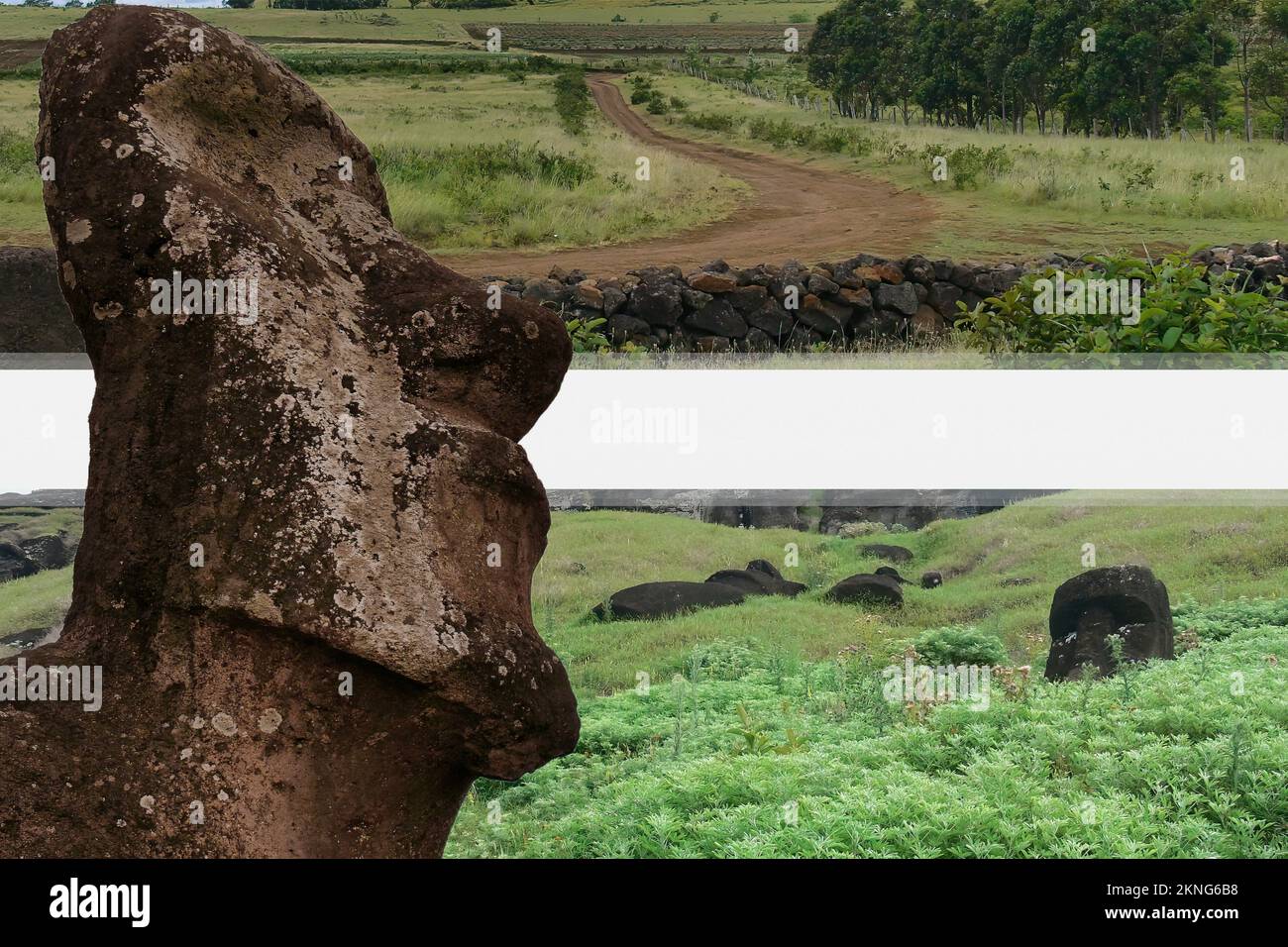 Moai statues in the Rano Raraku Volcano in Easter Island, Rapa Nui ...