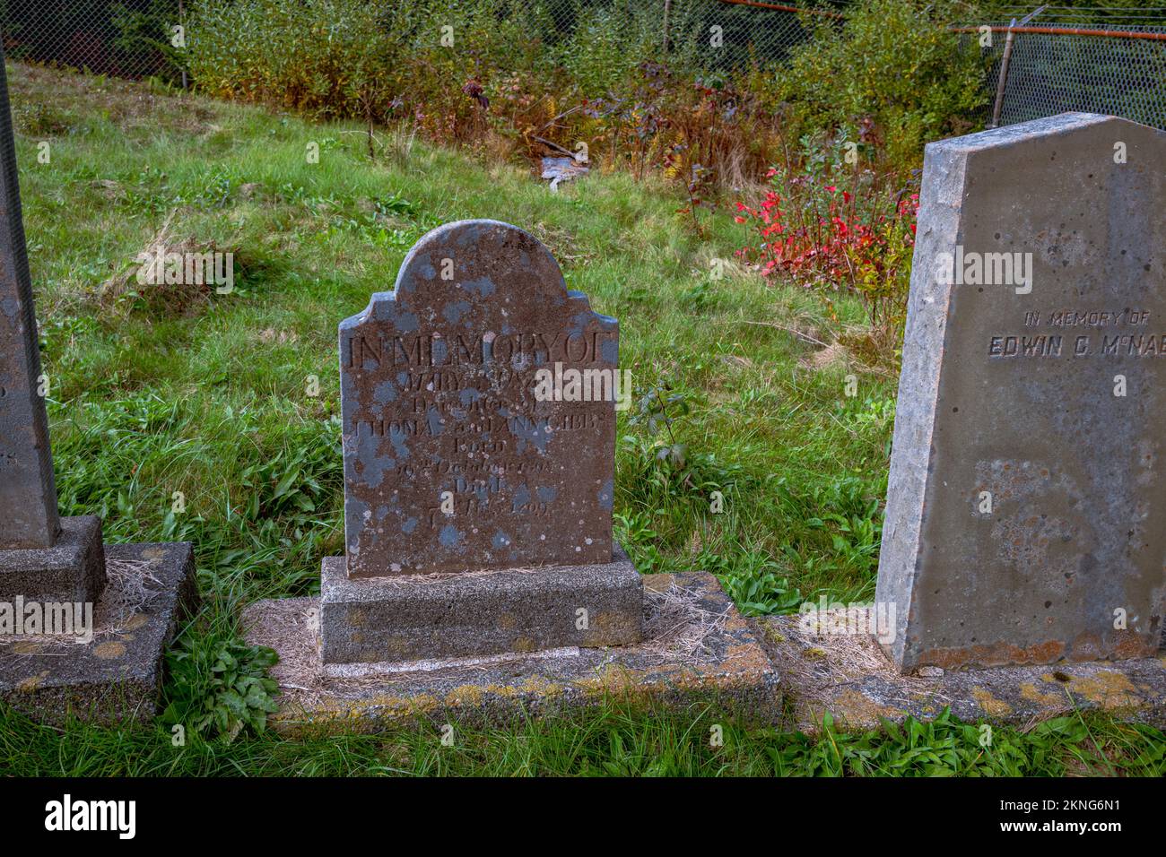 "the world's best defended graveyard" McNabs family graveyard on McNabs ...