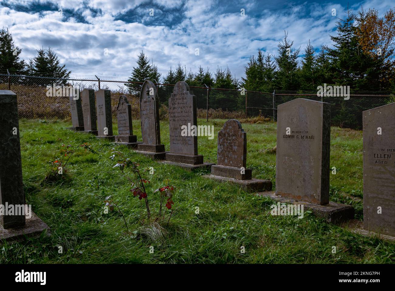 "the world's best defended graveyard" McNabs family graveyard on McNabs ...