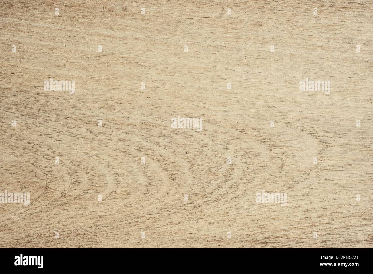 Wood floors textures, Texture natural wooden, High resolution Stock ...