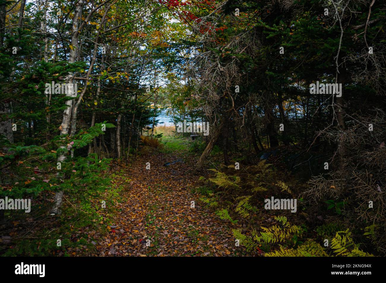 Wambolt trail hi-res stock photography and images - Alamy