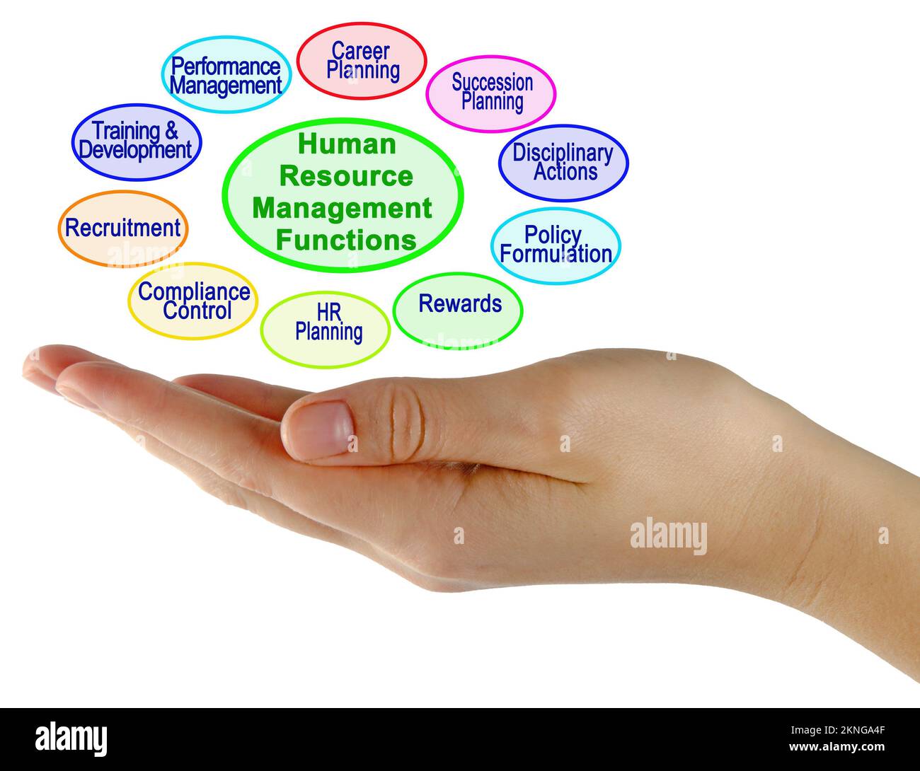 Functions of Human Resource Management Stock Photo - Alamy Functions of Human Resource Management Stock Photo - Alamy