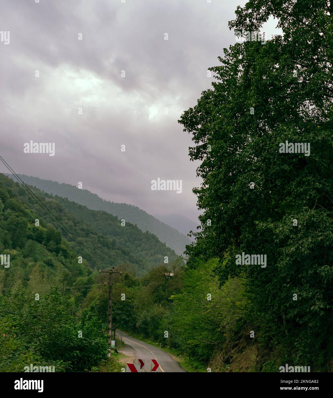 Driving in road full trees hi-res stock photography and images - Alamy