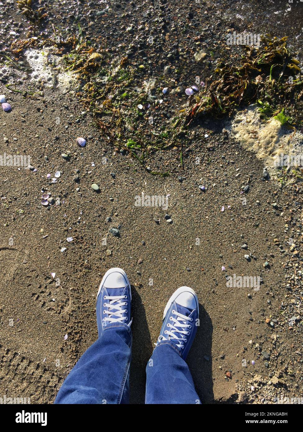 Persons feet at beach hi-res stock photography and images - Alamy