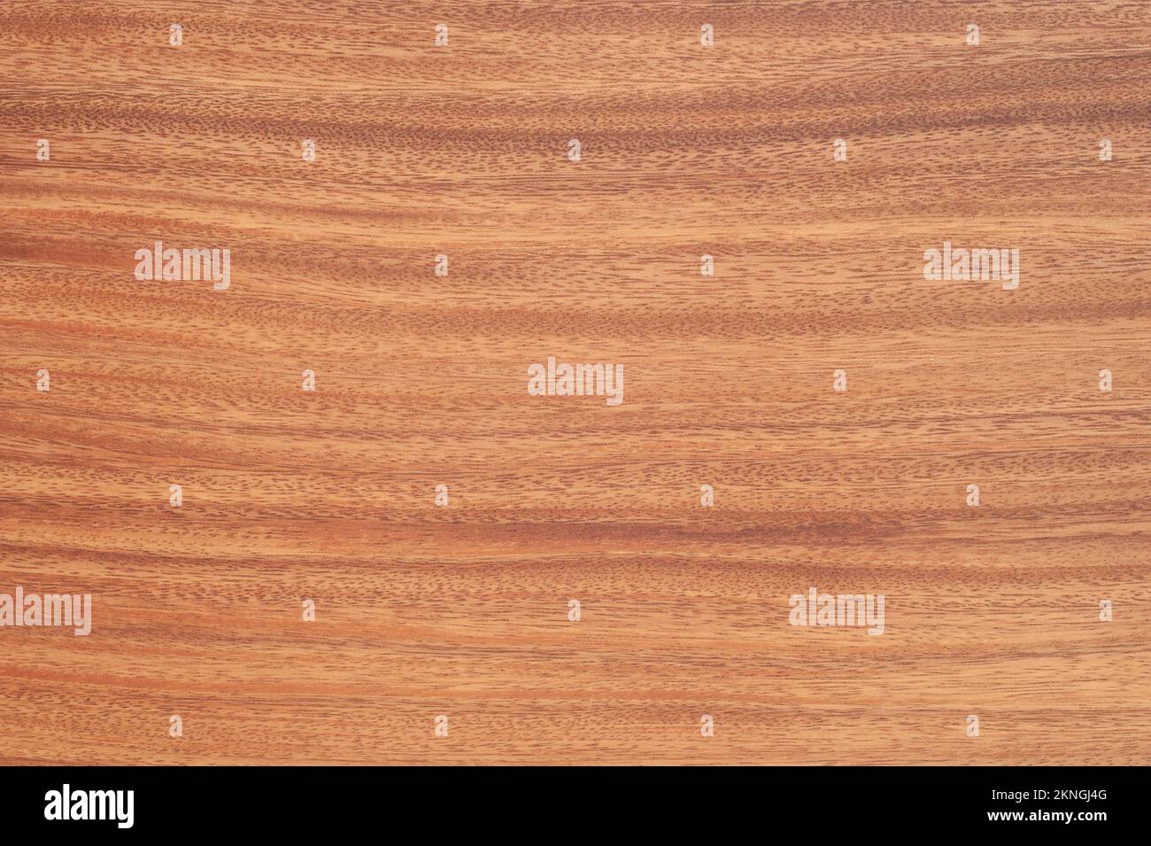 Wood floors textures, Texture natural wooden, High resolution Stock ...