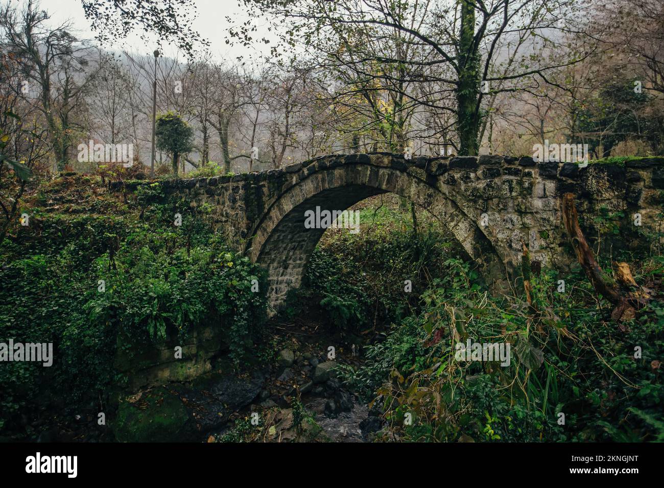 Small arched bridge hi-res stock photography and images - Alamy