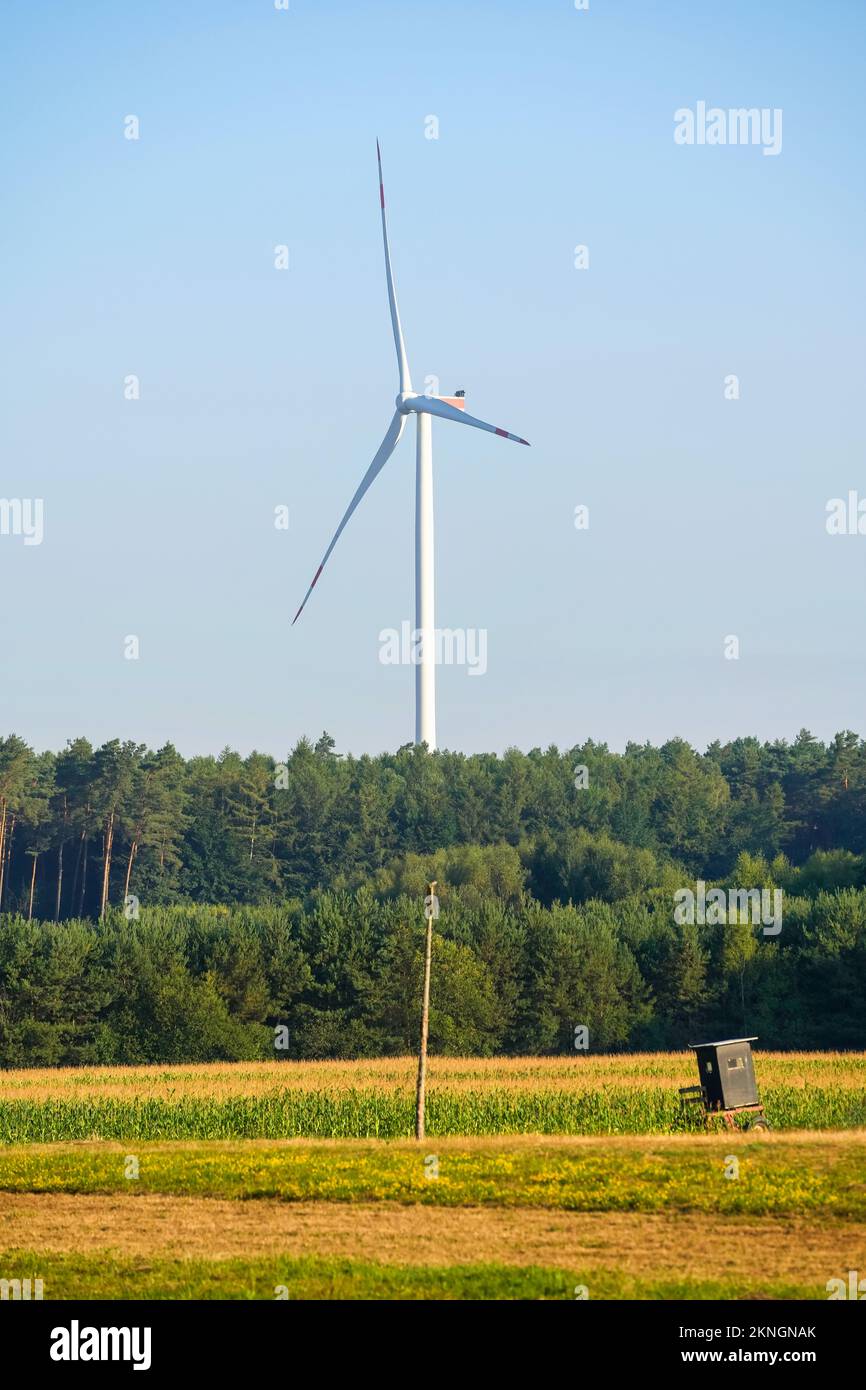 A scenic shot of a windmill in the middle of a farm field - sustainable ...