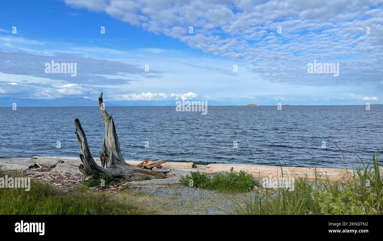 Pipers Lagoon Park in Nanaimo, Vancouver Island, British Columbia ...