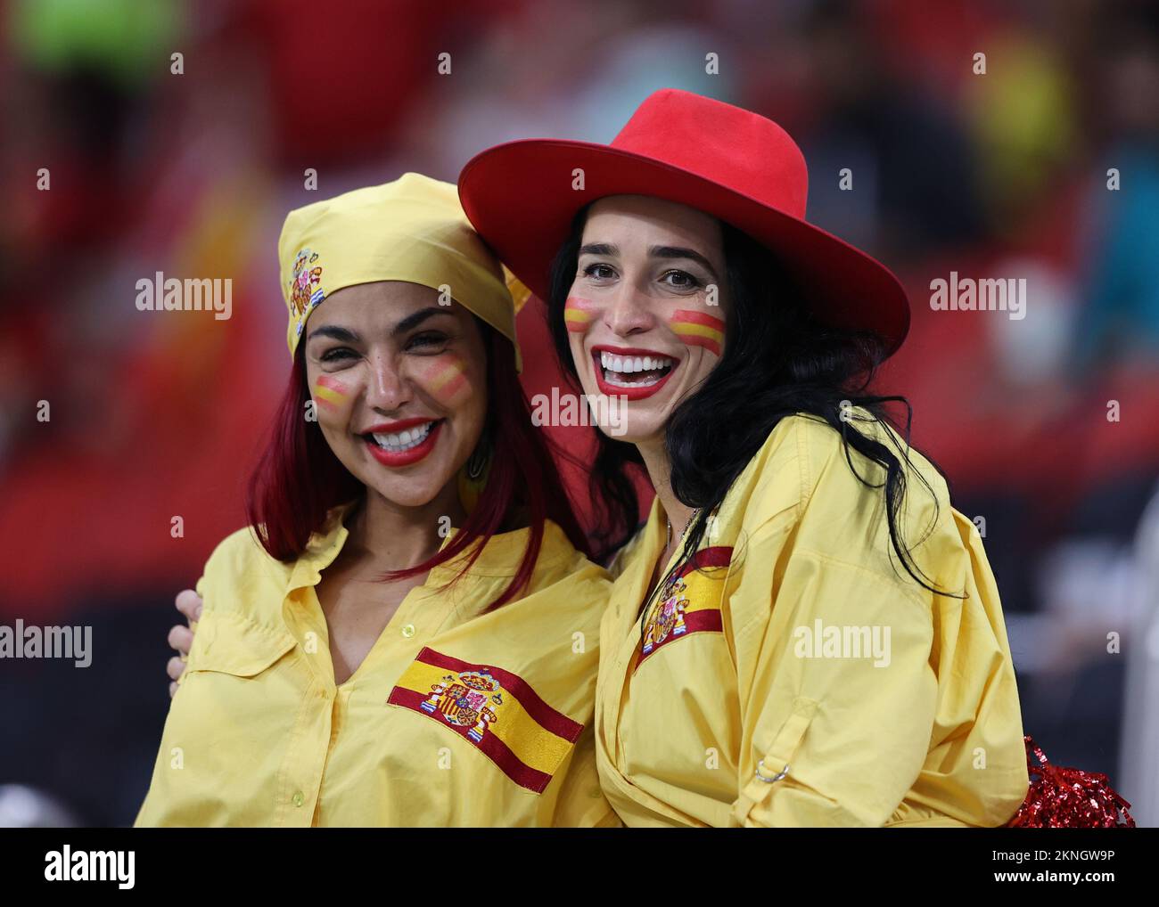 Al Khor, Qatar. 27th November 2022; Al Bayt Stadium, Al Khor, Qatar ...