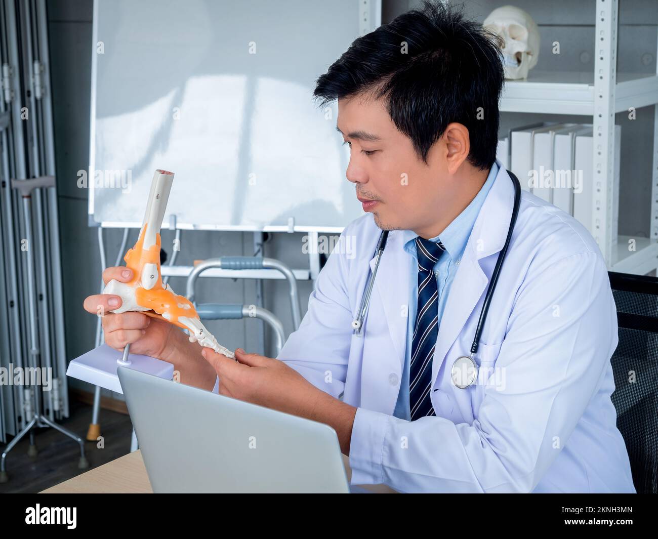 Close-up ankle joint foot skeleton anatomy model holding by orthopedic ...