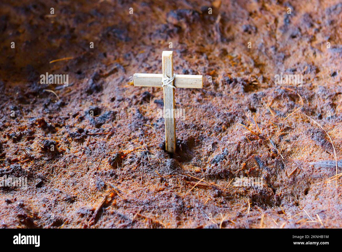 Christian Cross placed on the agave mesh fermenting to protect the ...