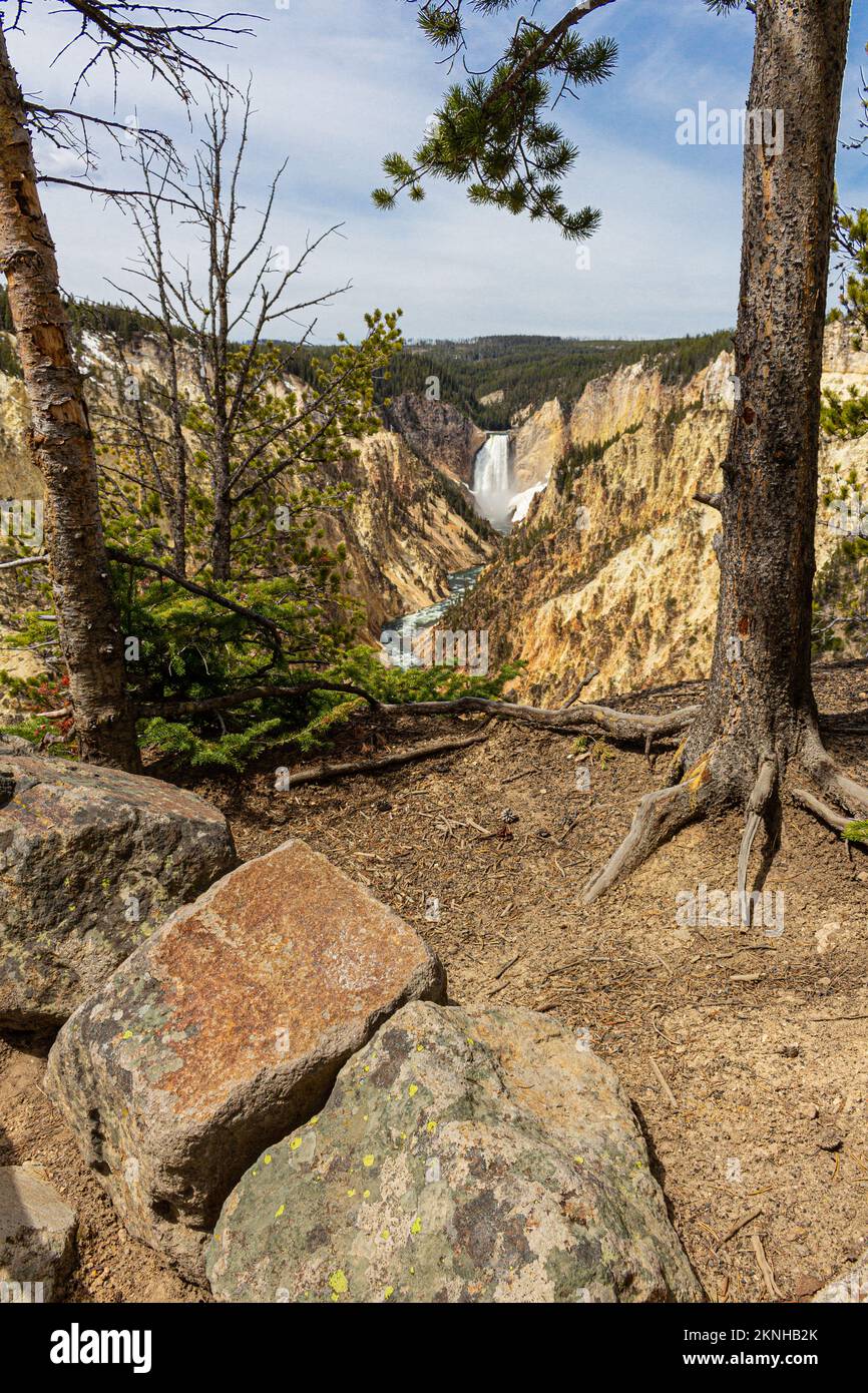 The magnificient Yellowstone River coursing over the Lower Falls in the ...