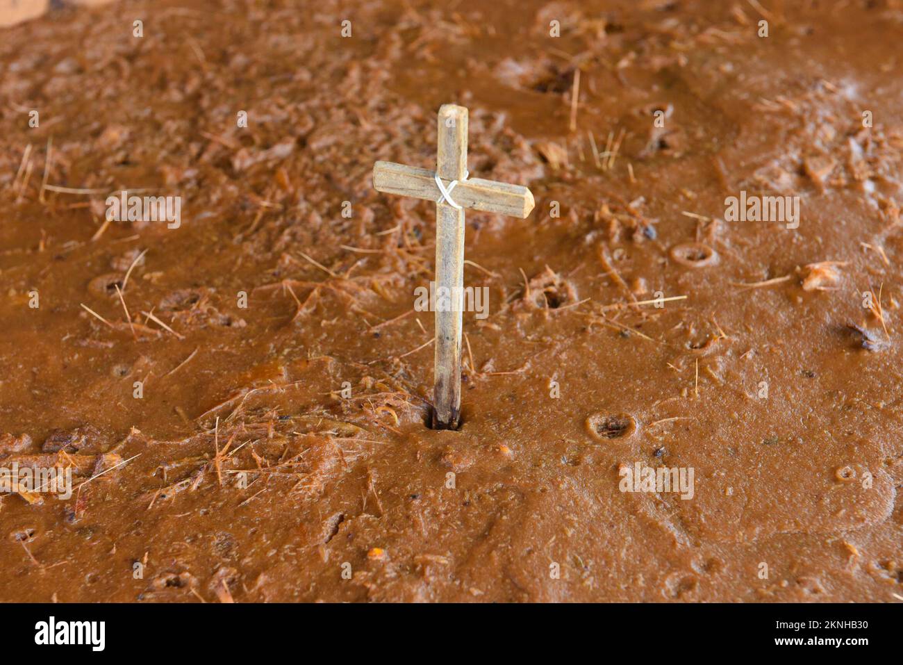 Crushed agave fermenting hi-res stock photography and images - Alamy