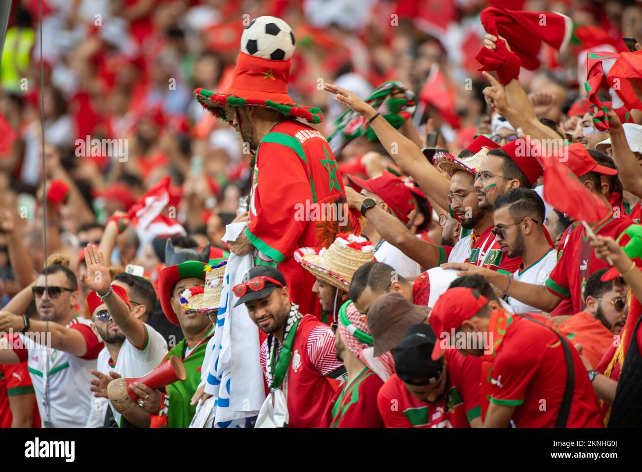 The Moroccan fans during the FIFA World Cup Qatar 2022 Group F match between Belgium and Morocco ...