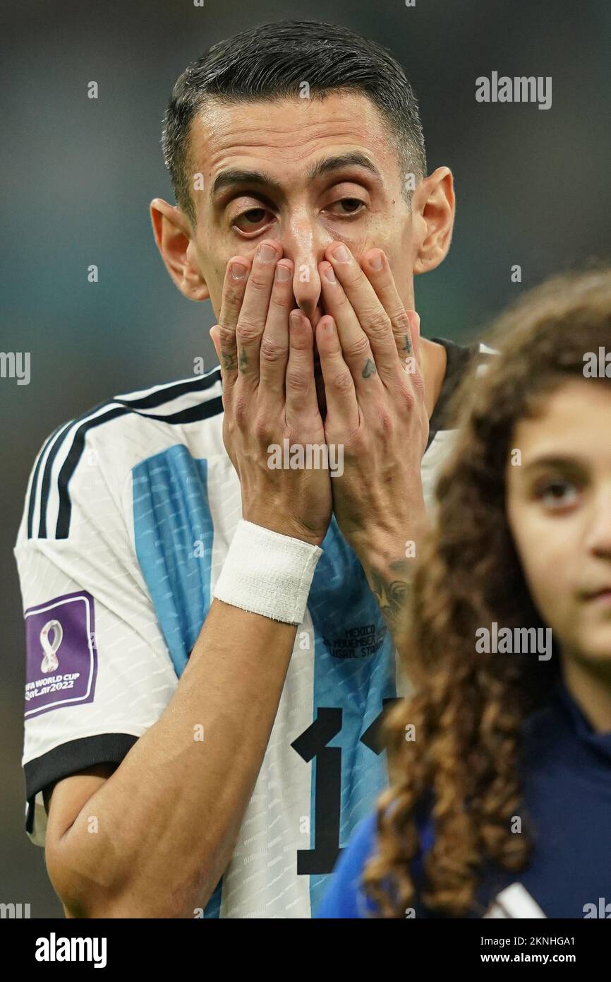 LUSAIL, QATAR - NOVEMBER 26: Player of Argentina Ángel Di María reacts ...