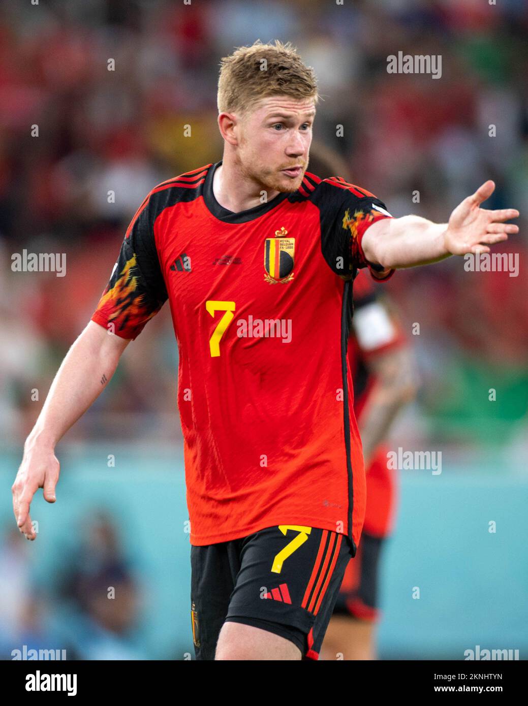 Kevin De Bruyne of Belgium during the FIFA World Cup Qatar 2022 Group F ...