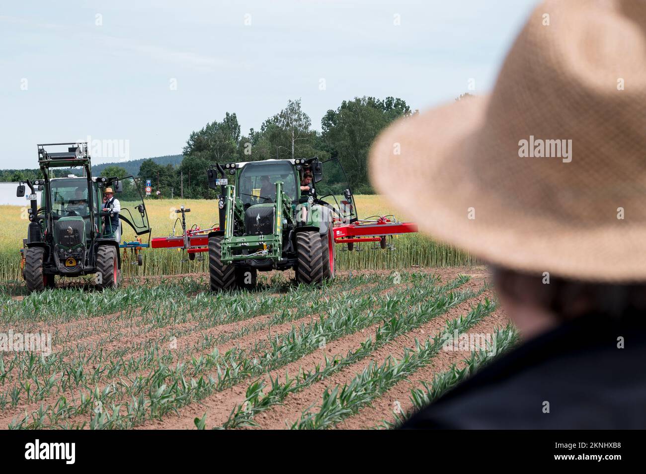 Bayreuth, Germany. 21st June, 2022. Two tractors stand in a cornfield ...
