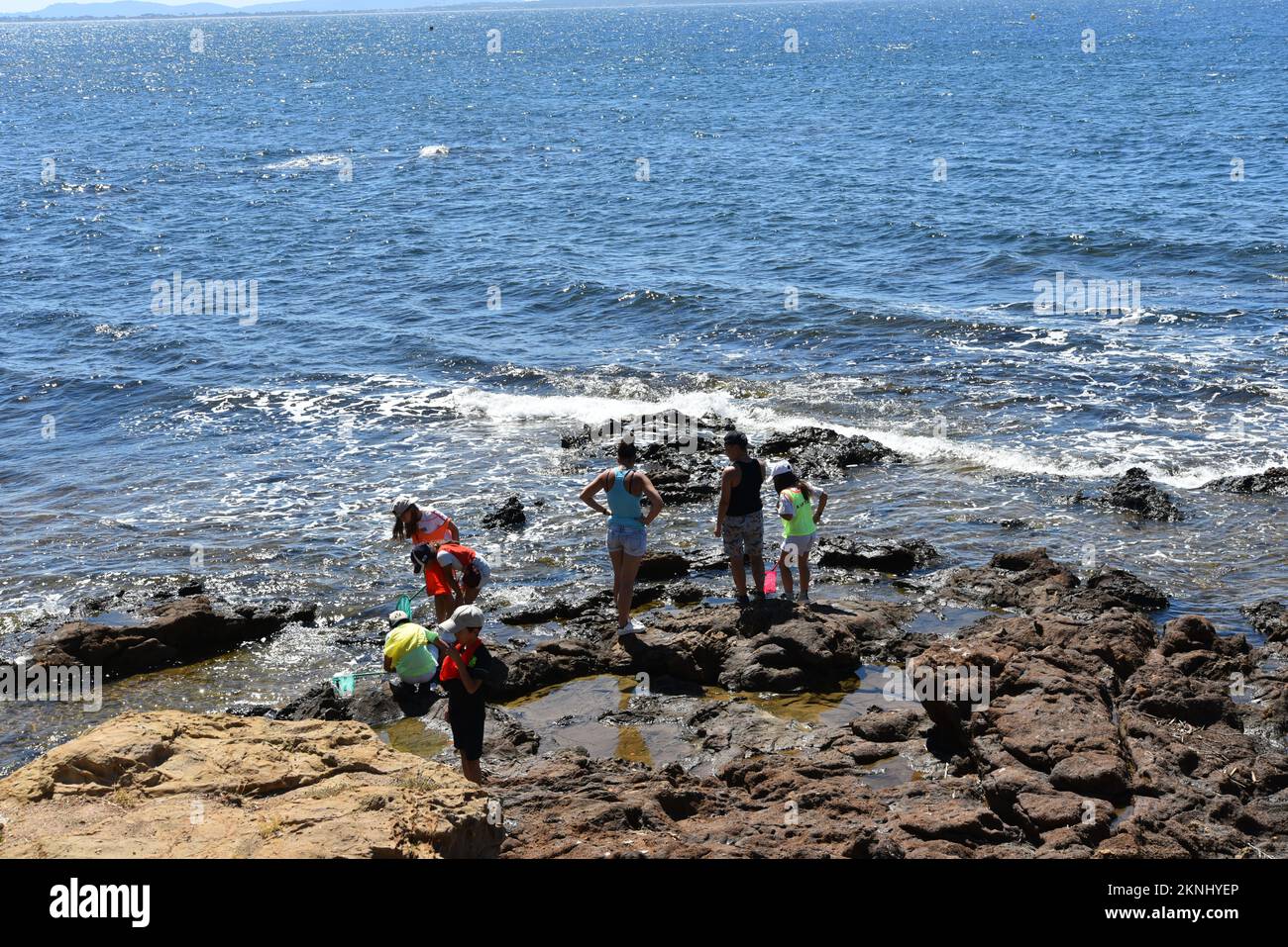 Discovery outing by the sea for children Stock Photo - Alamy