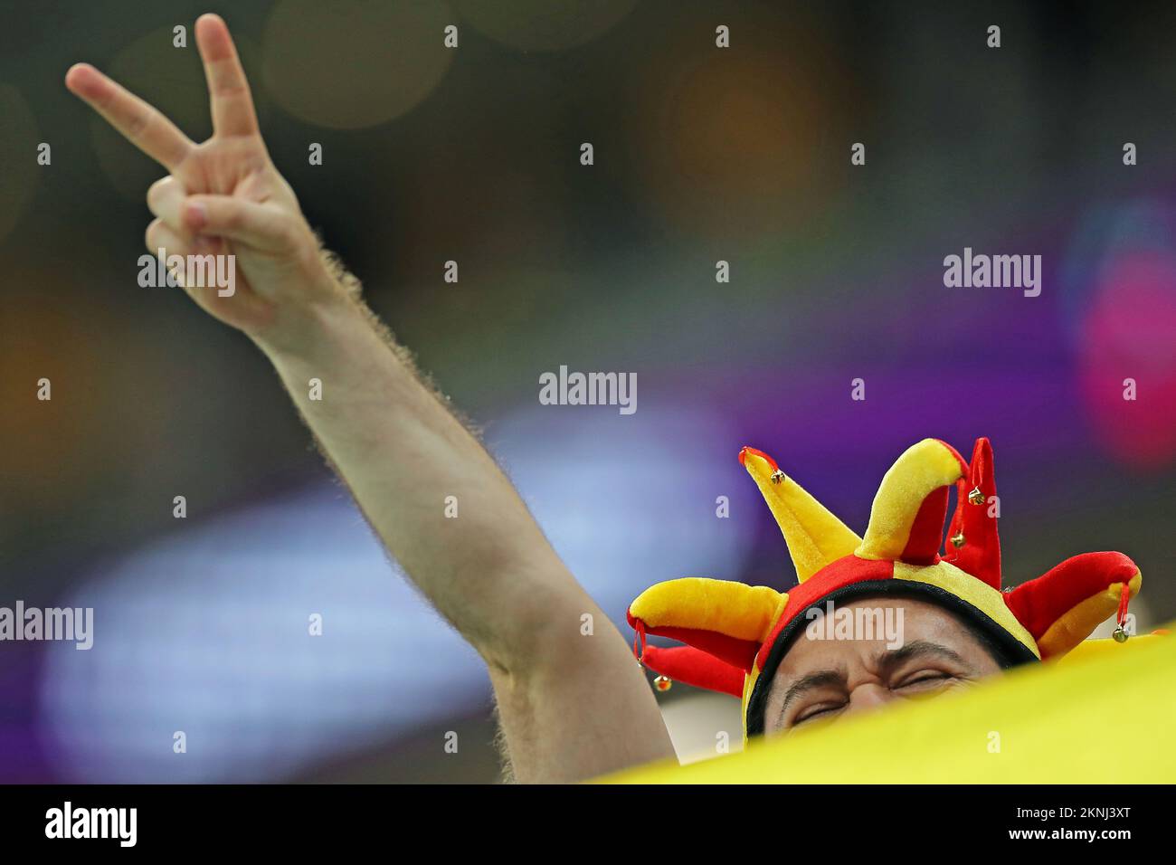 Al Khor, Qatar. 27th November 2022; Al Bayt Stadium, Al Khor, Qatar ...