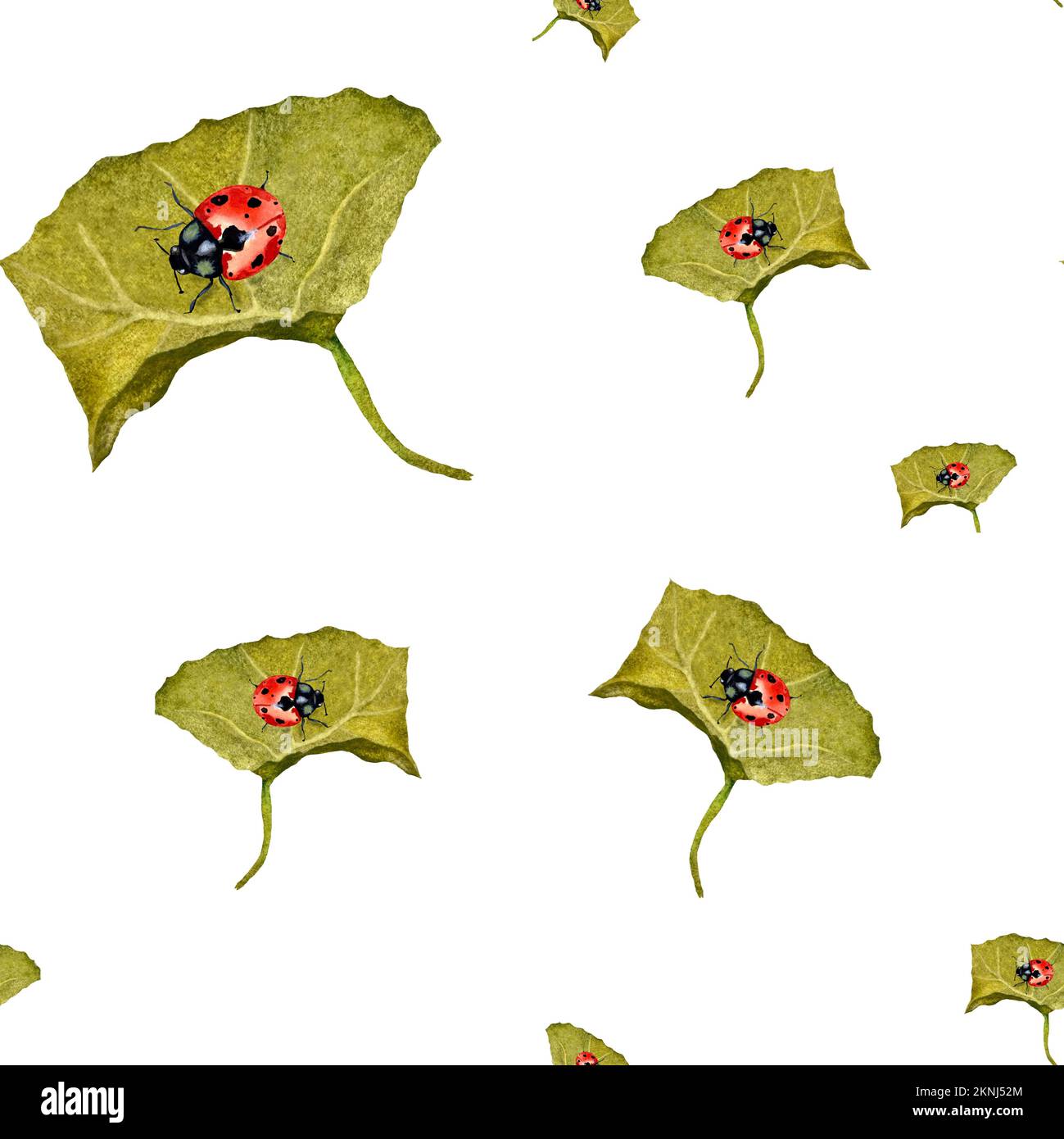 Ladybug red leaf green watercolor sketch pattern Stock Photo - Alamy