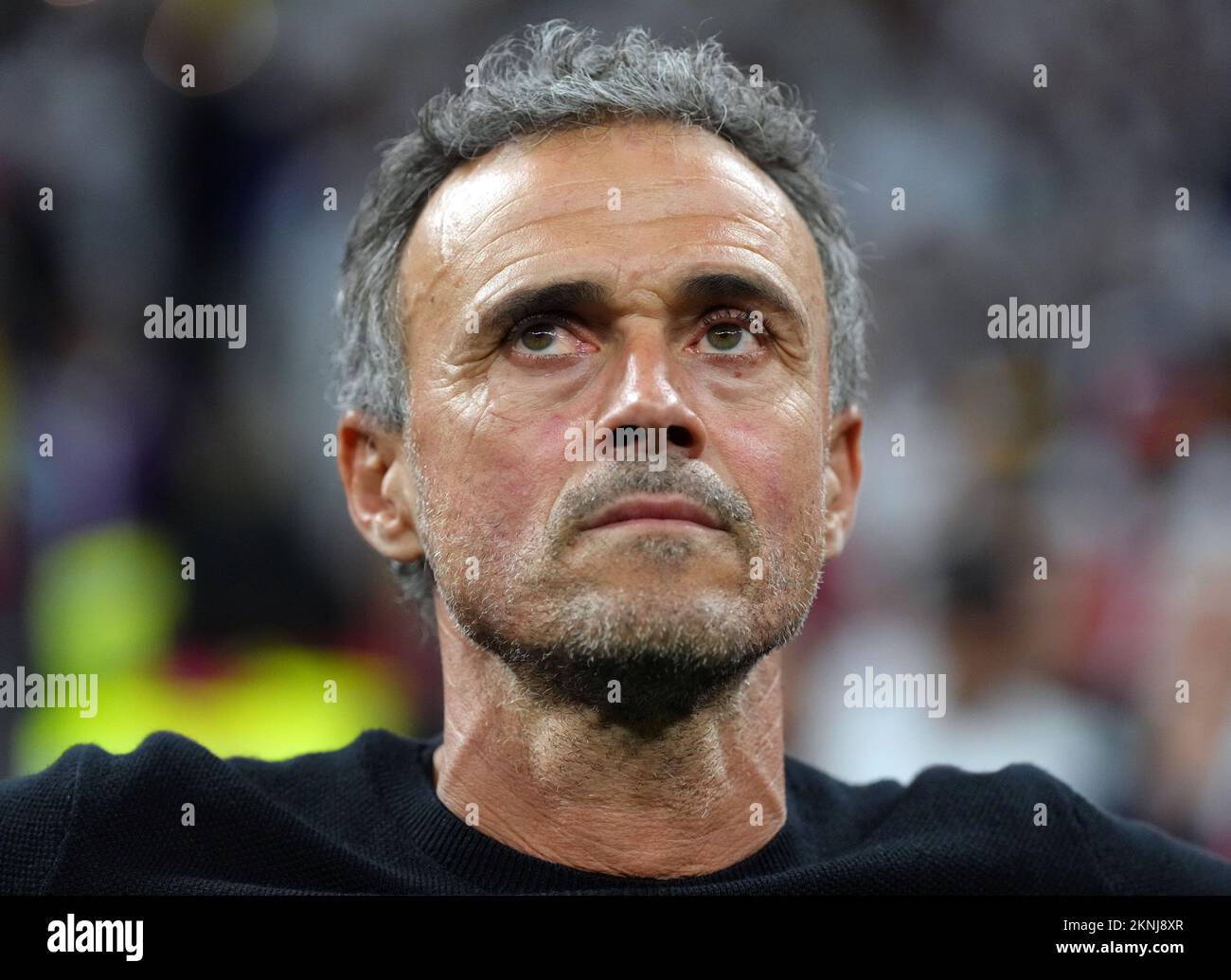 Spain manager Luis Enrique during the FIFA World Cup Group E match at ...