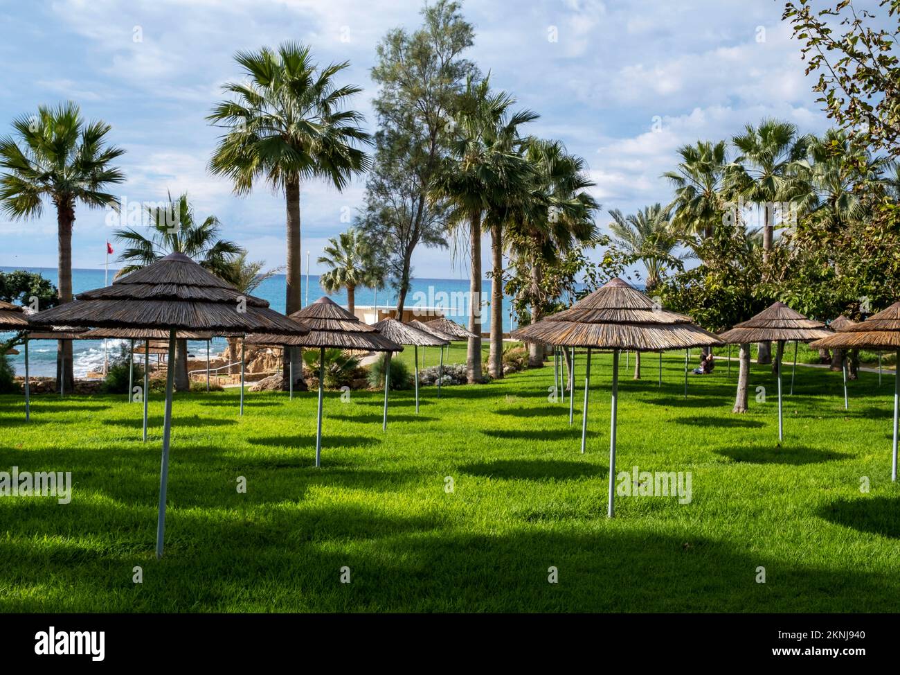 Sun shades cast shadows on the grass at a beach resort in Chloraka ...