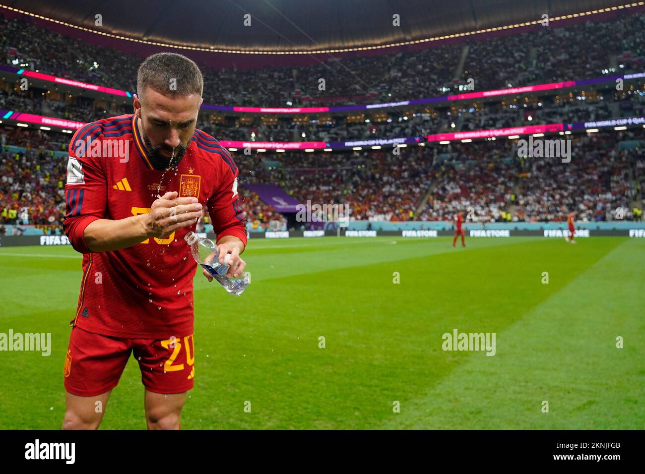 Daniel Carvajal of Spain during the FIFA World Cup, Qatar. , . in Al ...