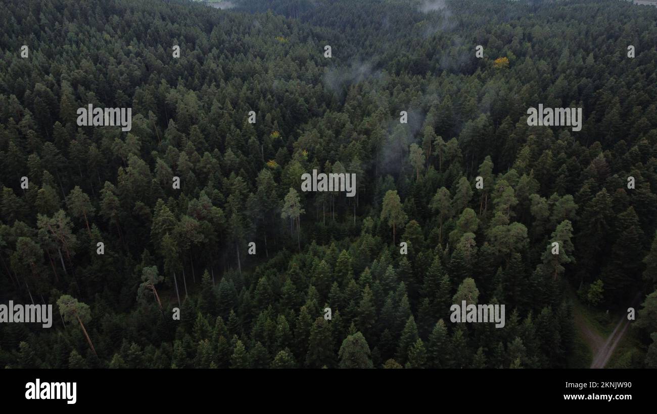 An aerial view of dense forests Stock Photo - Alamy