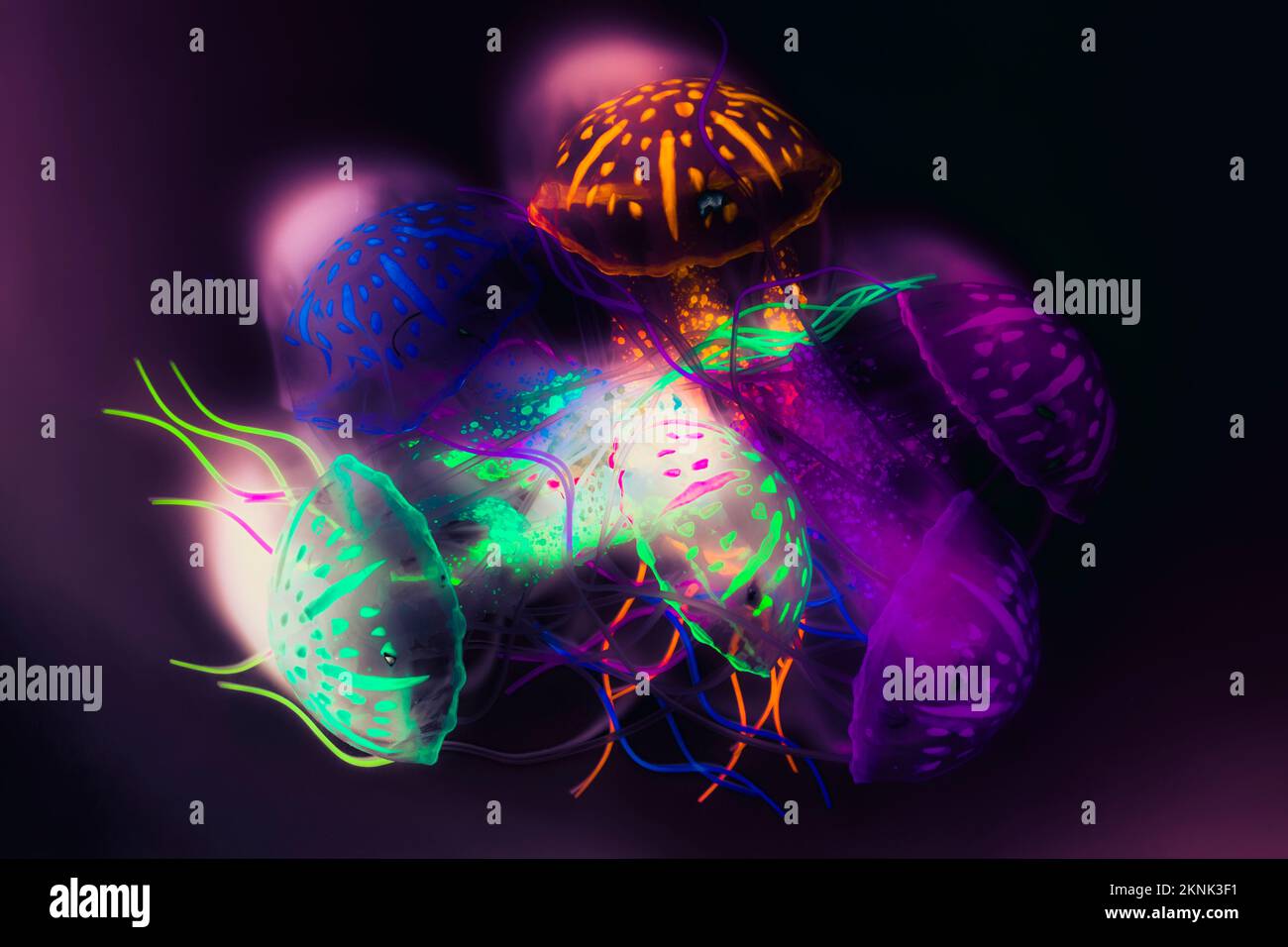 Sea life still life on a mix of intermingled jellyfish from reefs of an ...