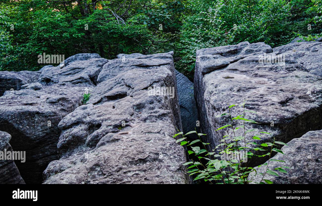 A scenic view of a green forest with huge rocks Stock Photo - Alamy