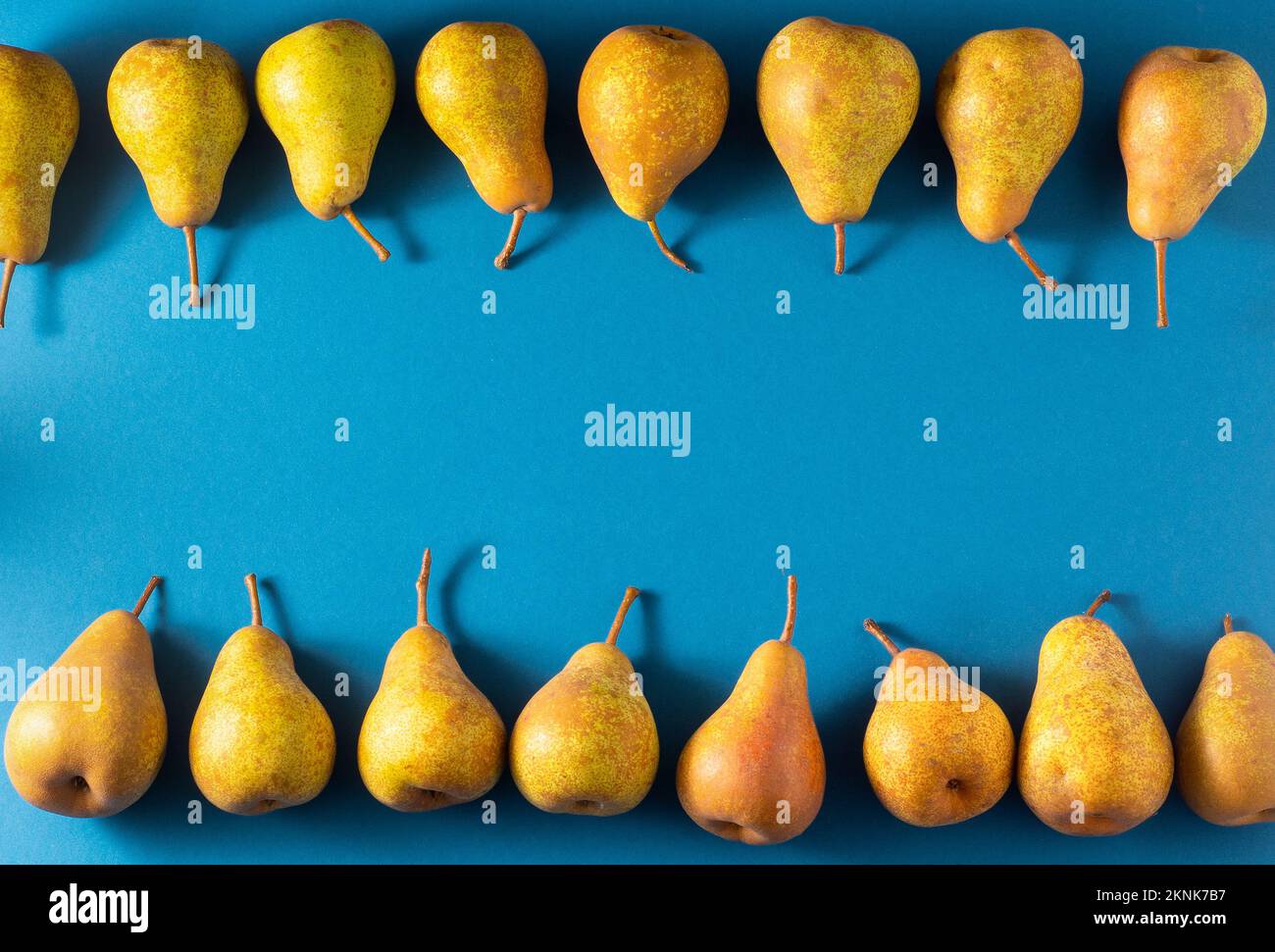 Yellow pears on a blue background. Fruit harvest. Autumn still life ...