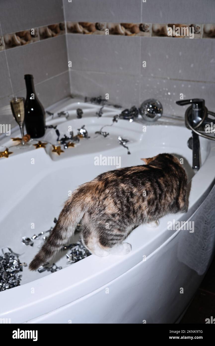 Bathtub Party Day, Party Bathroom Decor. New Years or Birthday Party in ...