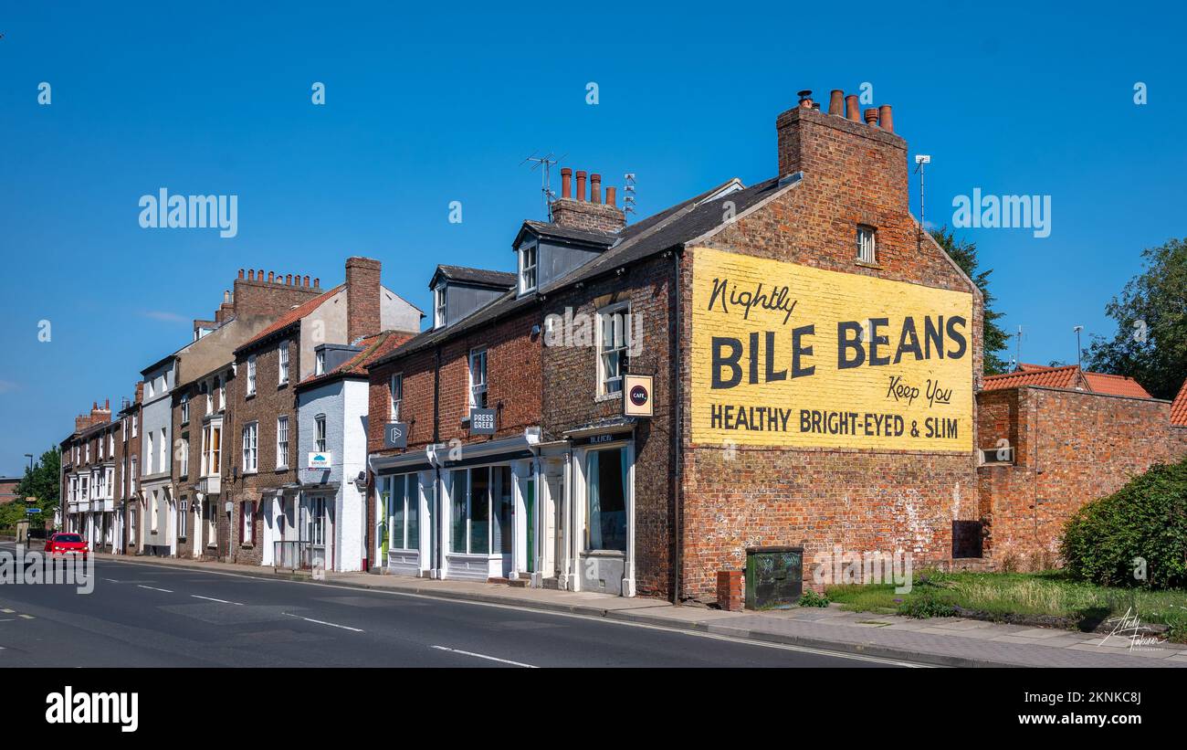 Bile beans hi-res stock photography and images - Alamy