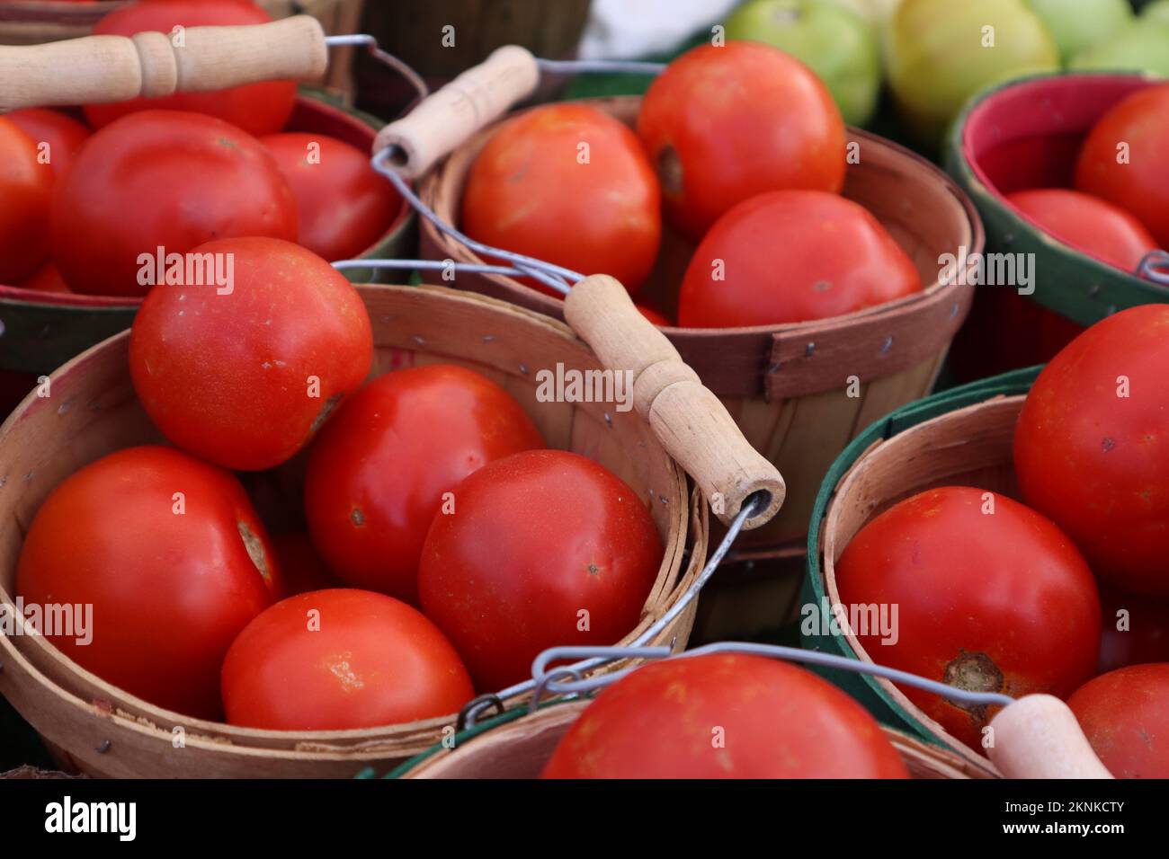 The fresh picked red tomatoes in wooden buckets at a farmer's market ...