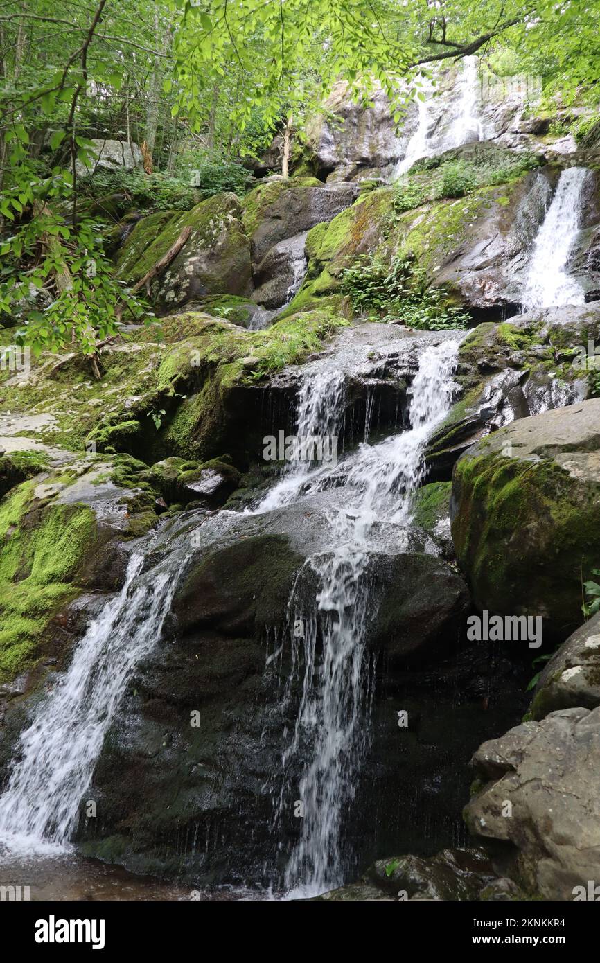 A vertical shot of the South River Falls in Shenandoah National Park ...