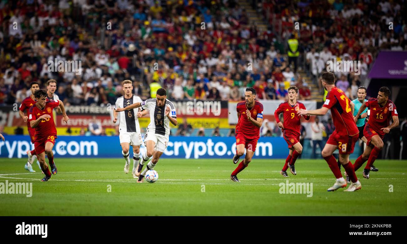Doha, Qatar. 27th Nov, 2022. Jamal Musiala (Deutschland) Germany ...