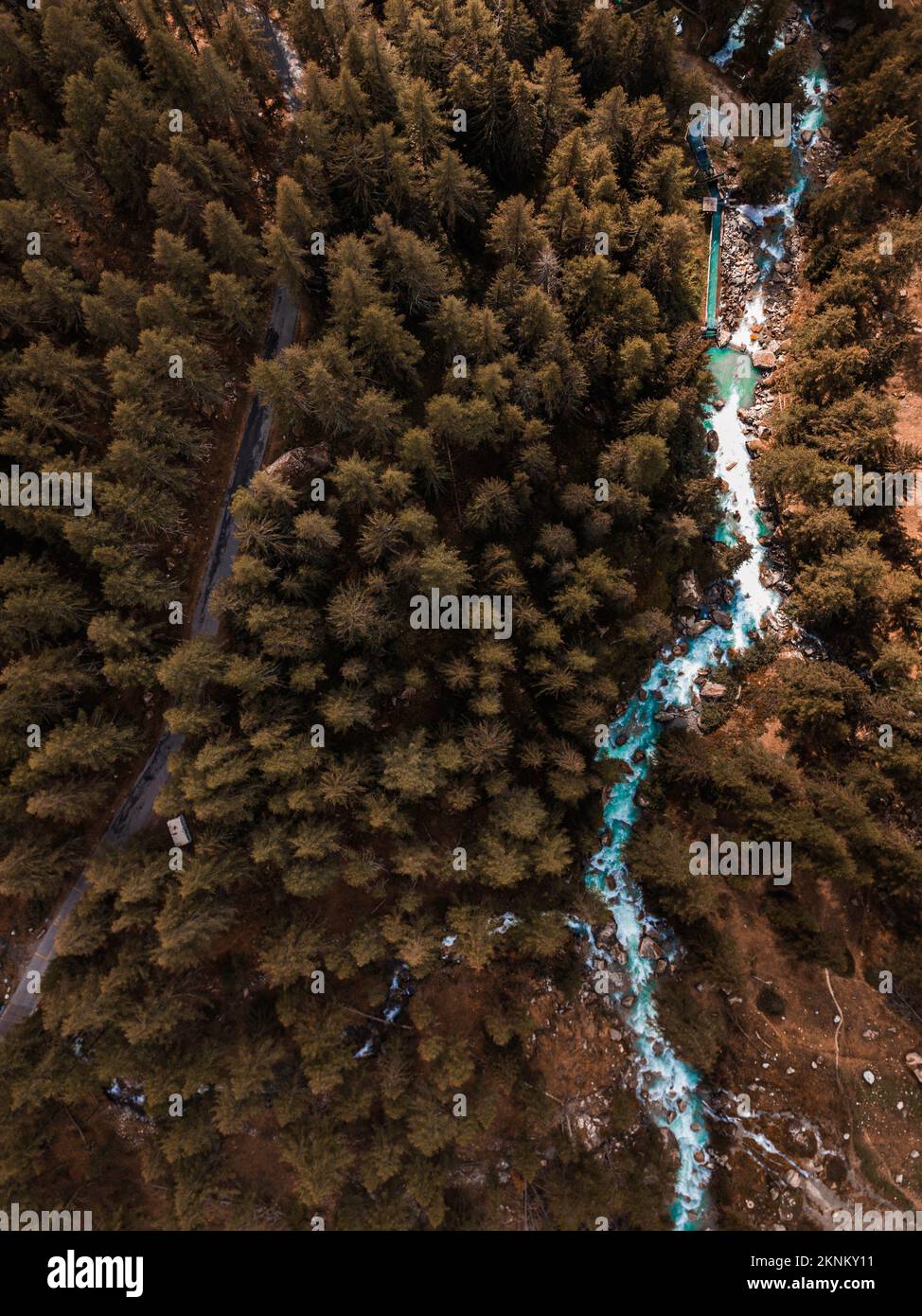 An aerial top view of a lush forest with a lake and road in vertical ...