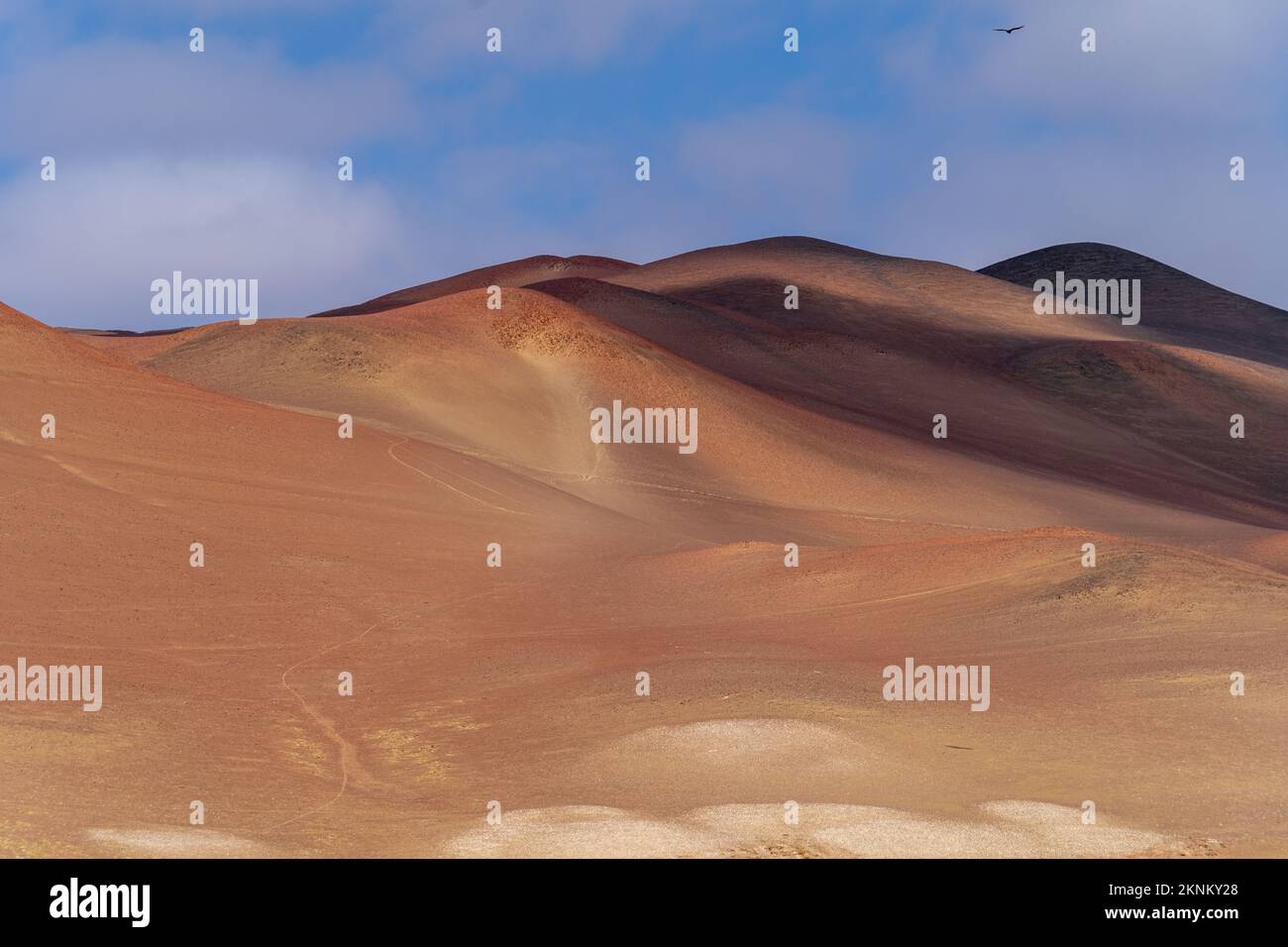 A beautiful shot of a sandy desert in the Paracas National Reserve ...