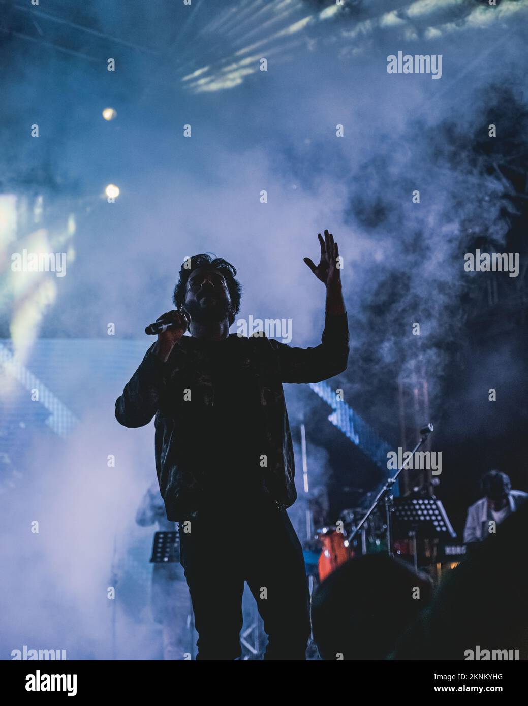 A vertical shot of a singer performing at a music festival Stock Photo ...