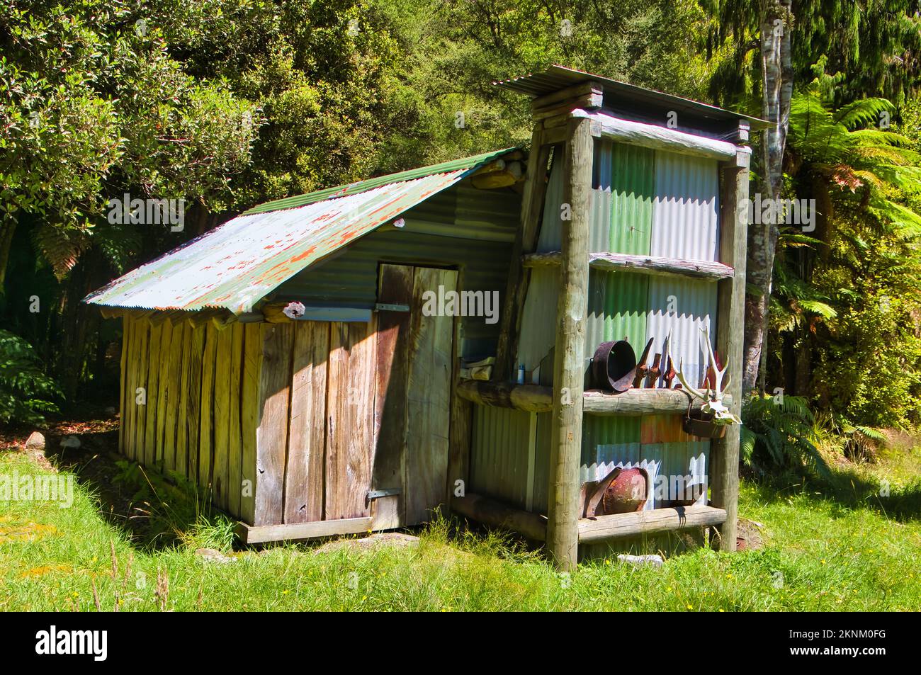 The historic Adams Flat Hut on the Fenian Goldfields, in the rainforest ...
