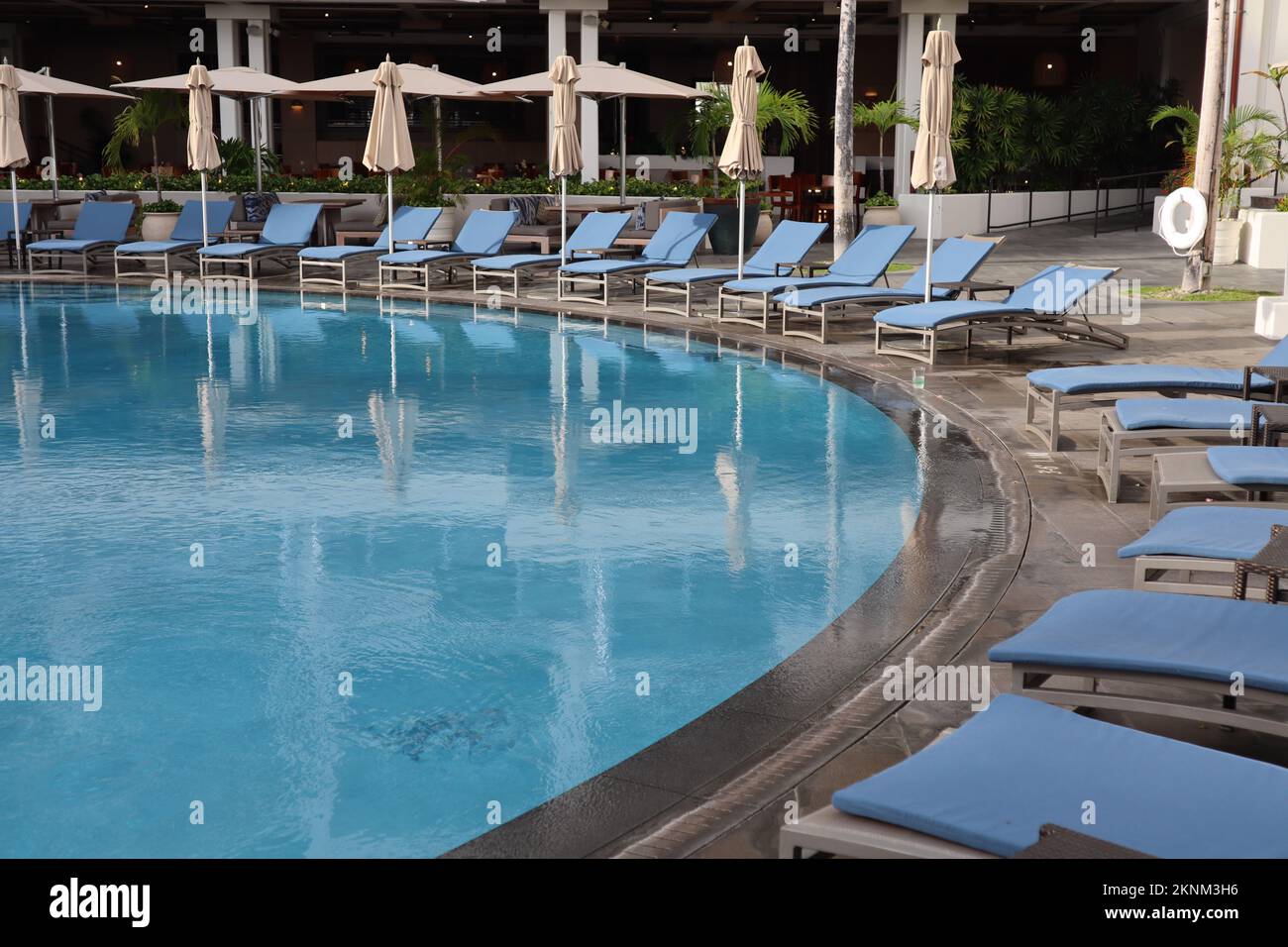 A luxury swimming pool with blue chaise lounge chairs around it in a ...