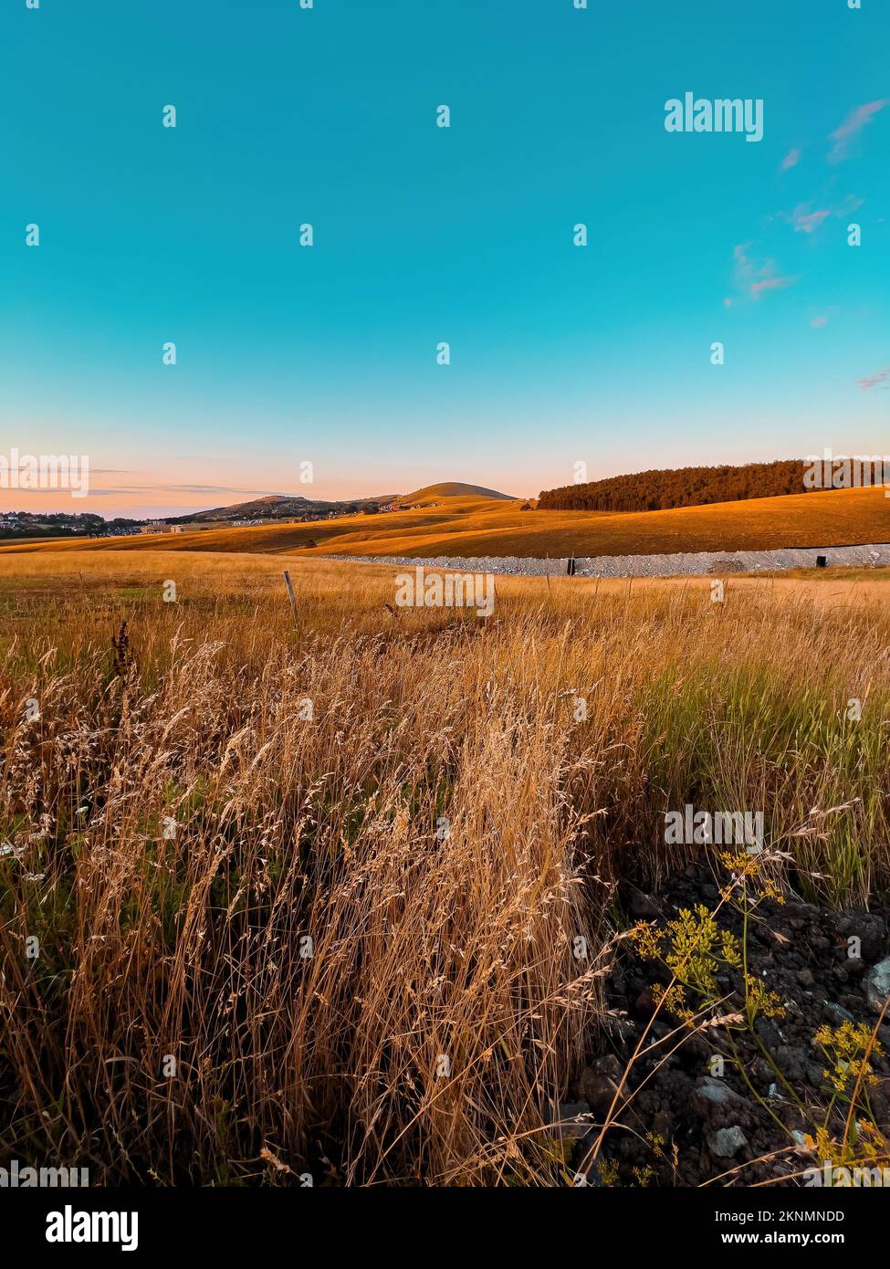 A vertical shot of a vast field and mountains under a clear dusk sky ...