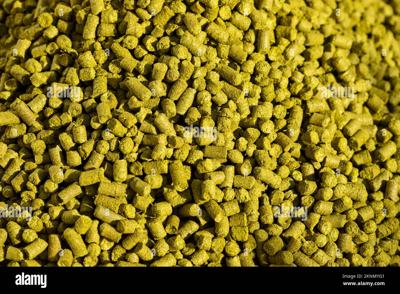 overview of fresh hop pellets Stock Photo - Alamy