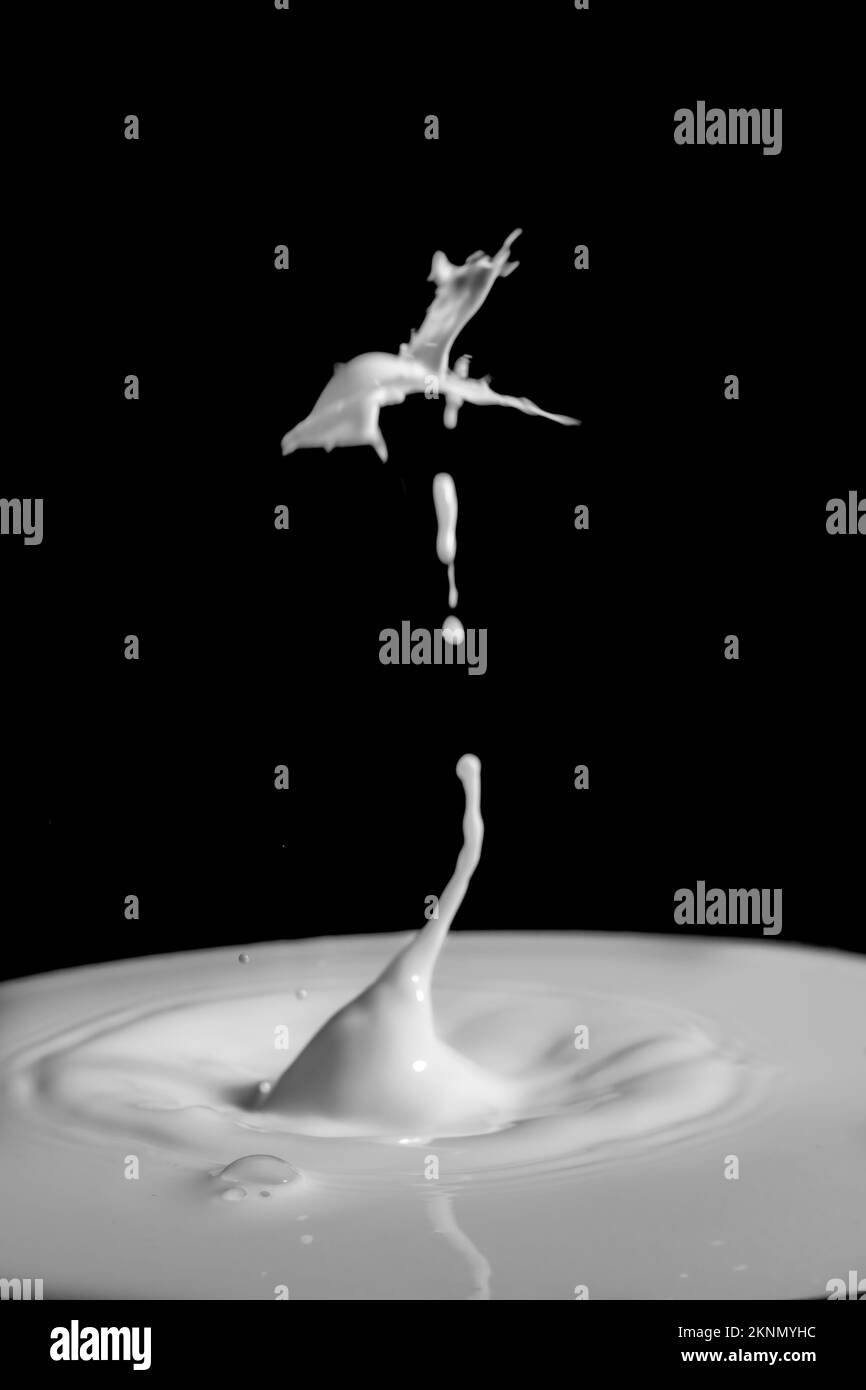 drops of milk colliding formed figures with a black background and ...